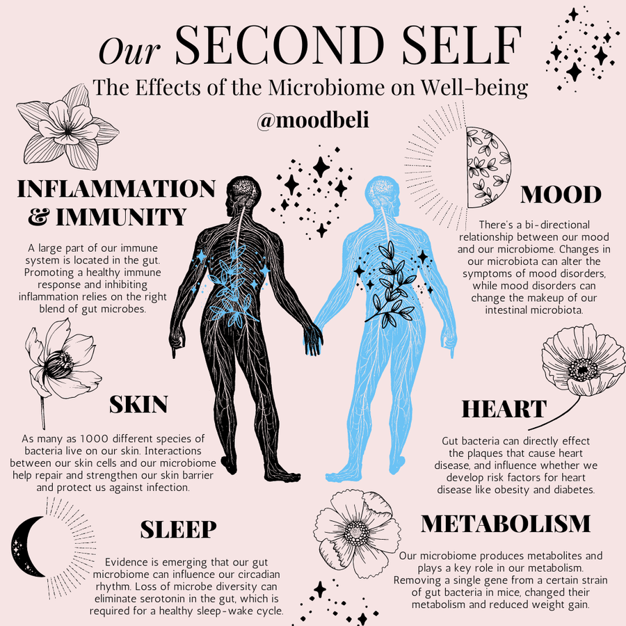 Our Second Self: Microbiome 101 – Moodbeli