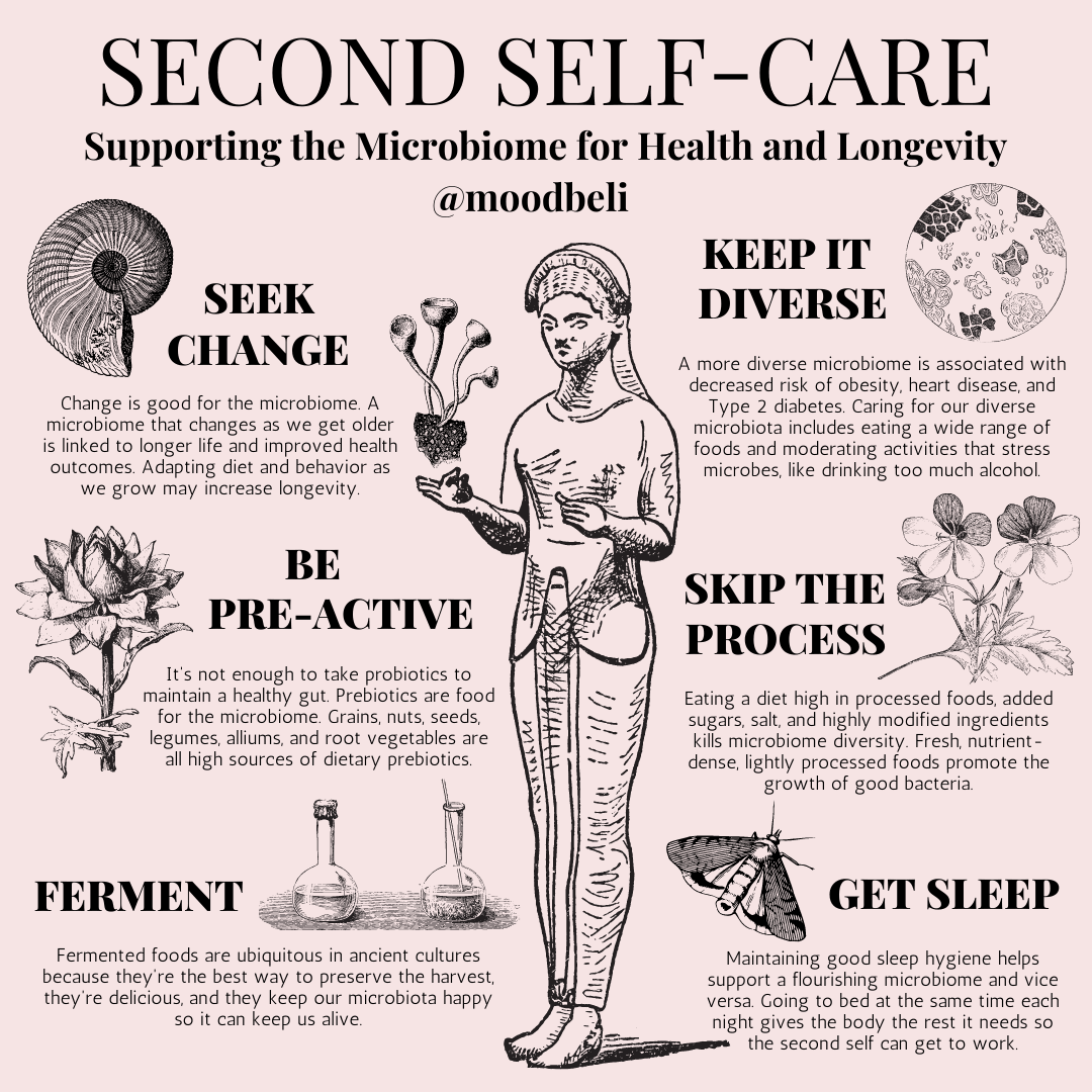 Second Self-Care: Supporting the Microbiome for Health and Longevity ...